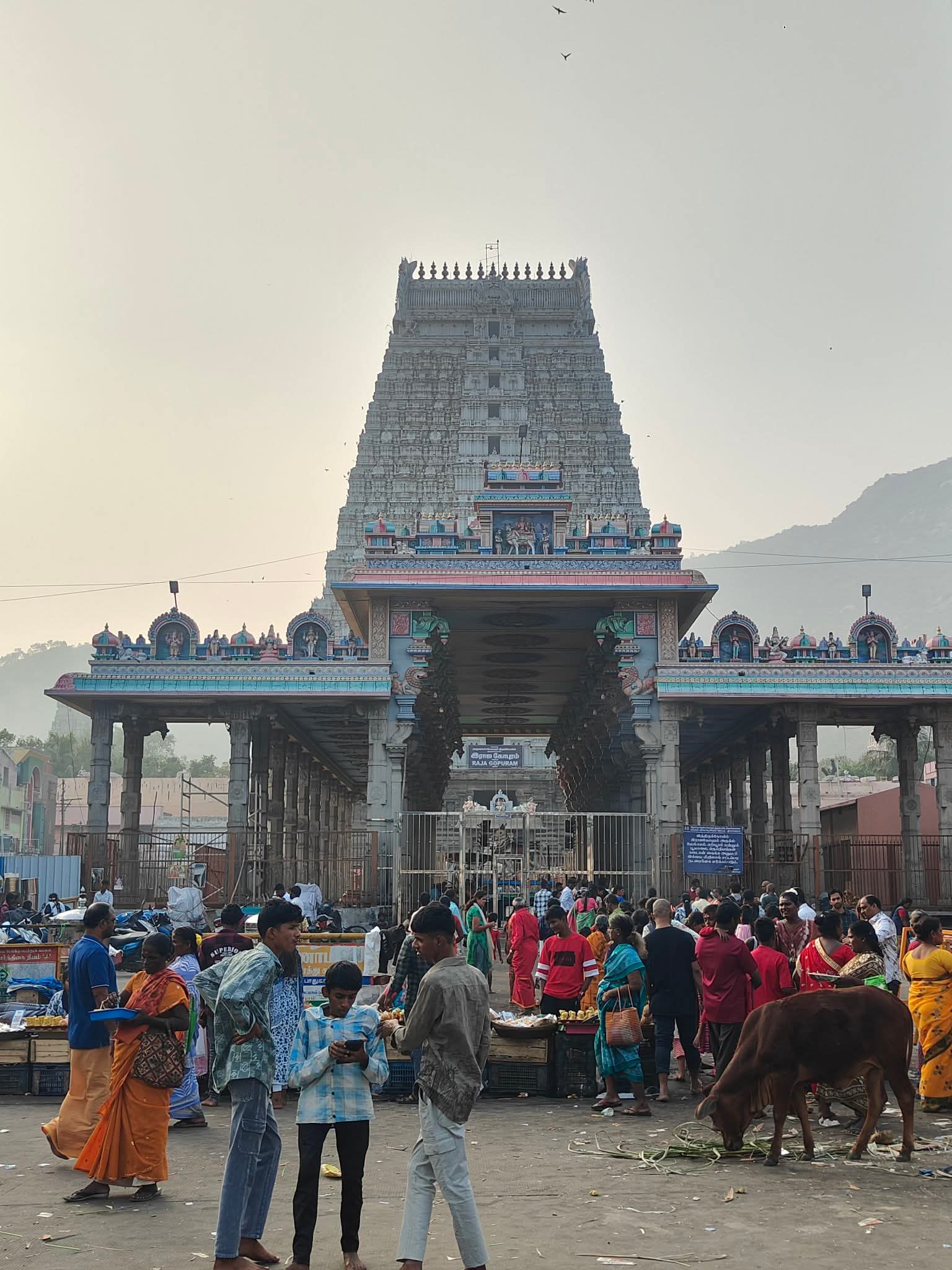 A complete Guide to Giri Pradakshina Arunachalam| Dhanwantari Ayurveda ...